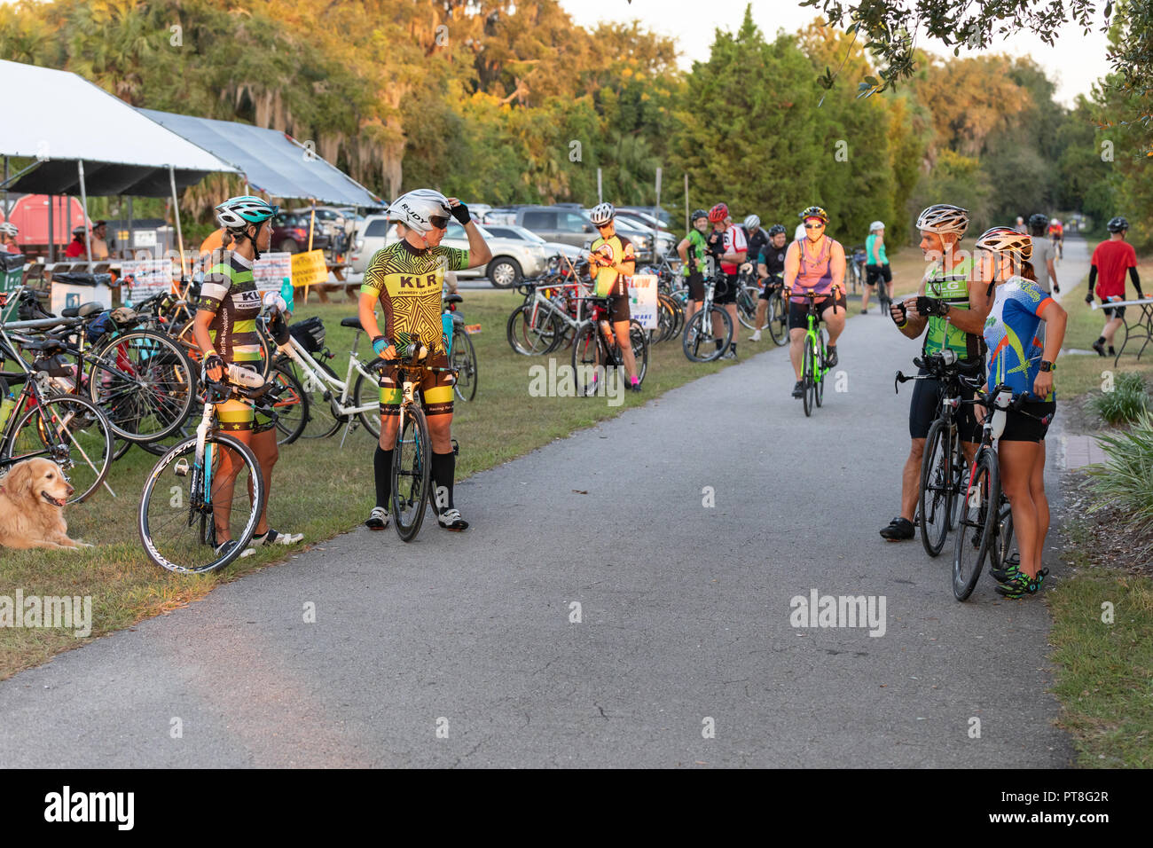 Fitness group people on bicycle hi-res stock photography and images - Alamy