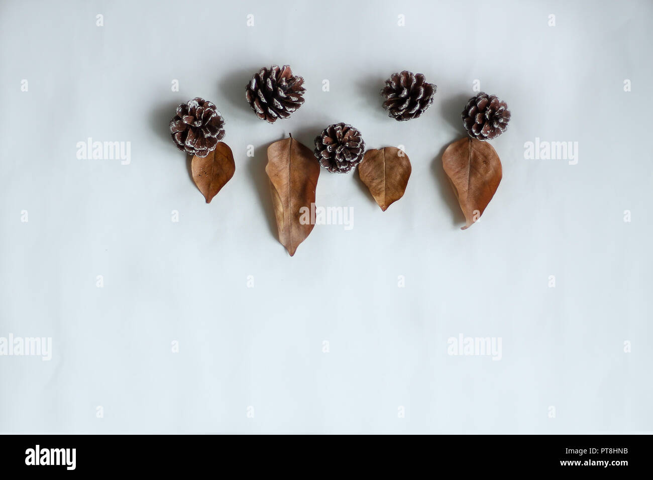 Minimalist winter themed background and lay out for a clean and simple ...