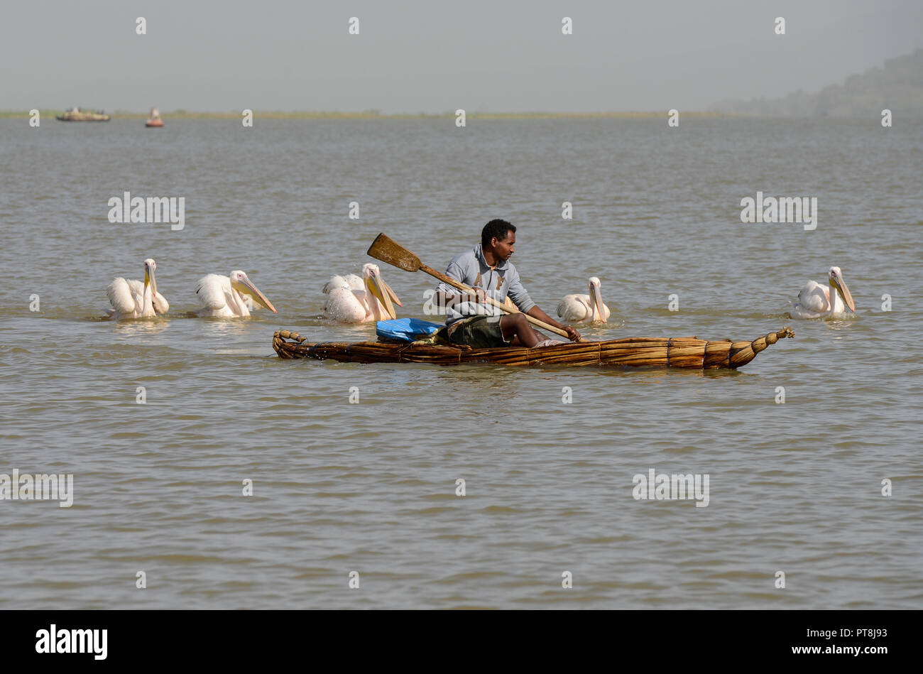 ETHIOPIA , Bahar Dar, lake Tana, fisherman with papyrus boat , behind ...