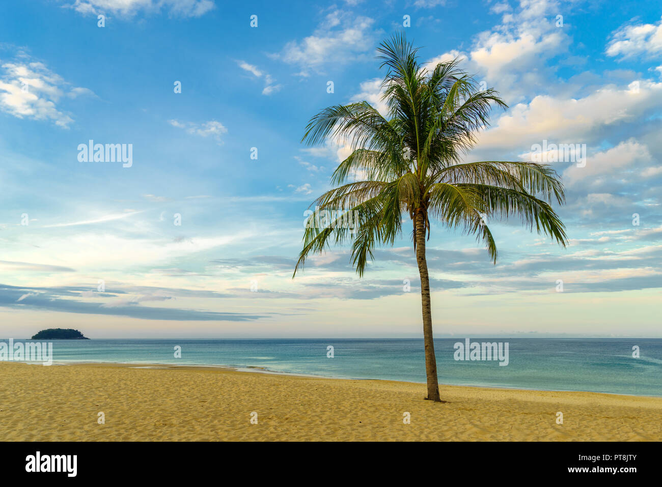 tropical beach with coconut trees Stock Photo - Alamy