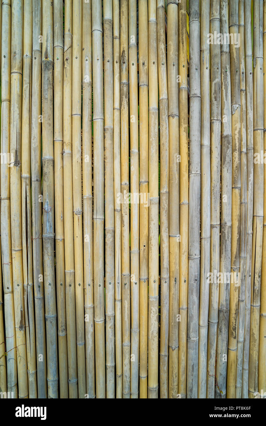 bamboo fence background Stock Photo - Alamy