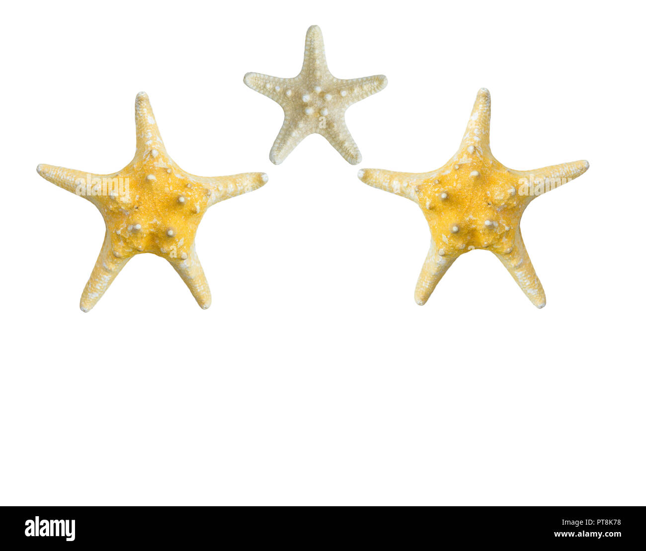 dried starfish isolated on a white background Stock Photo - Alamy