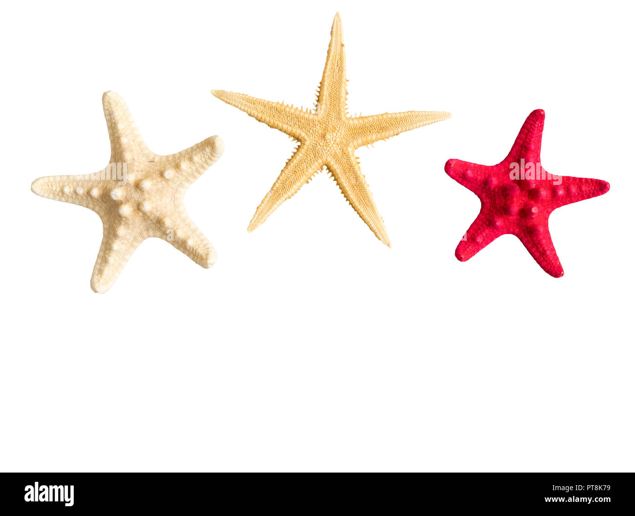 Sea stars collection isolated on white background Stock Photo - Alamy