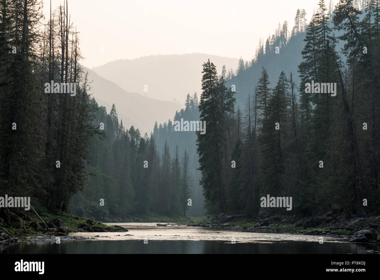 Selway bitterroot wilderness hi-res stock photography and images - Alamy