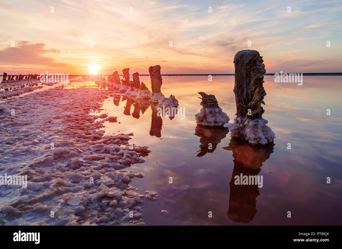Salt sea water evaporation ponds with pink plankton colour Stock Photo ...