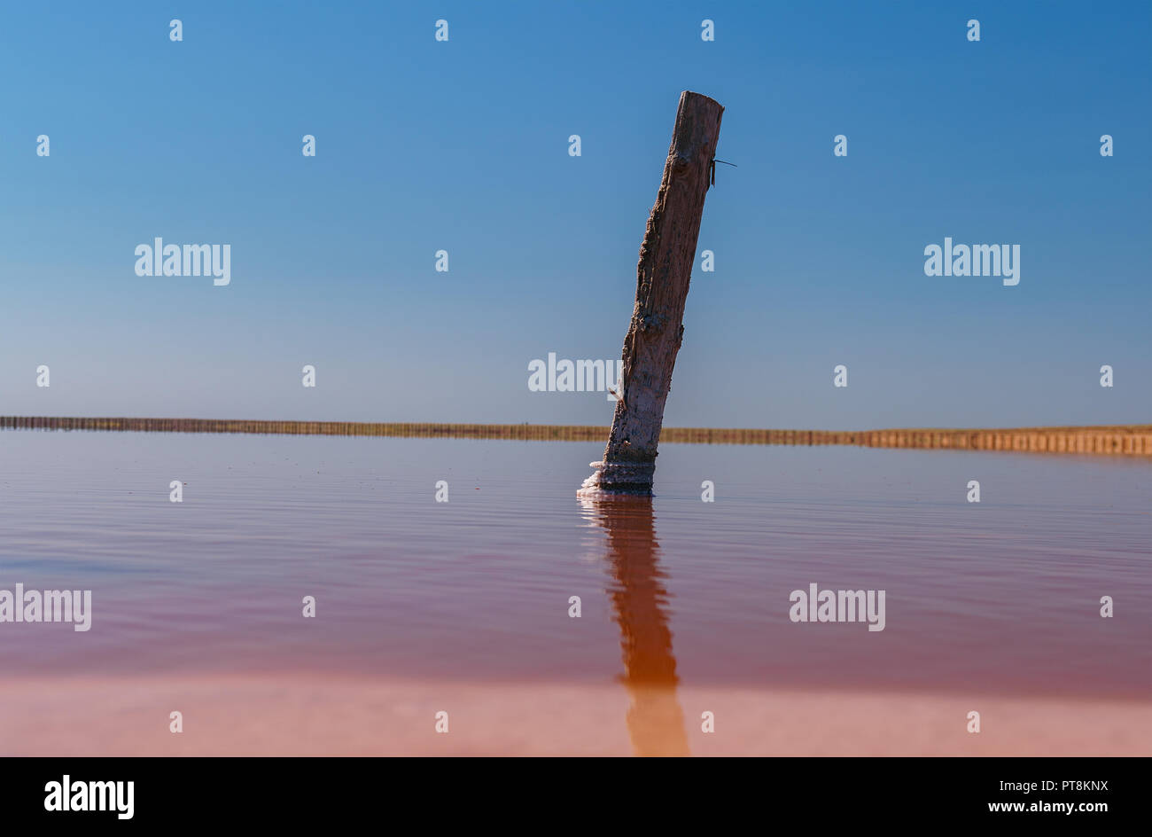 Salt sea water evaporation ponds with pink plankton colour Stock Photo ...