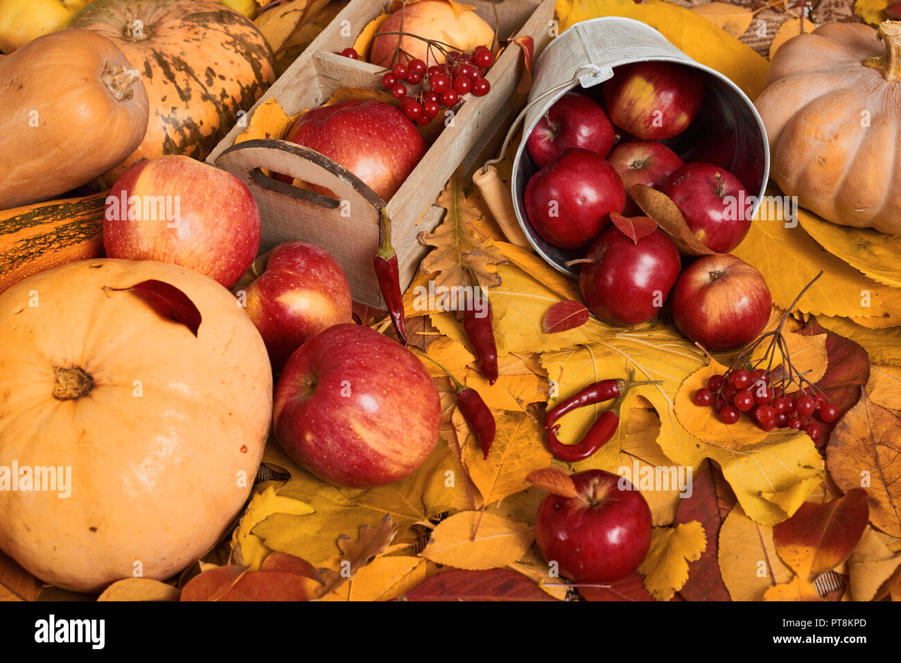 autumn harvest - fruits and vegetables are on fallen yellow leaves ...