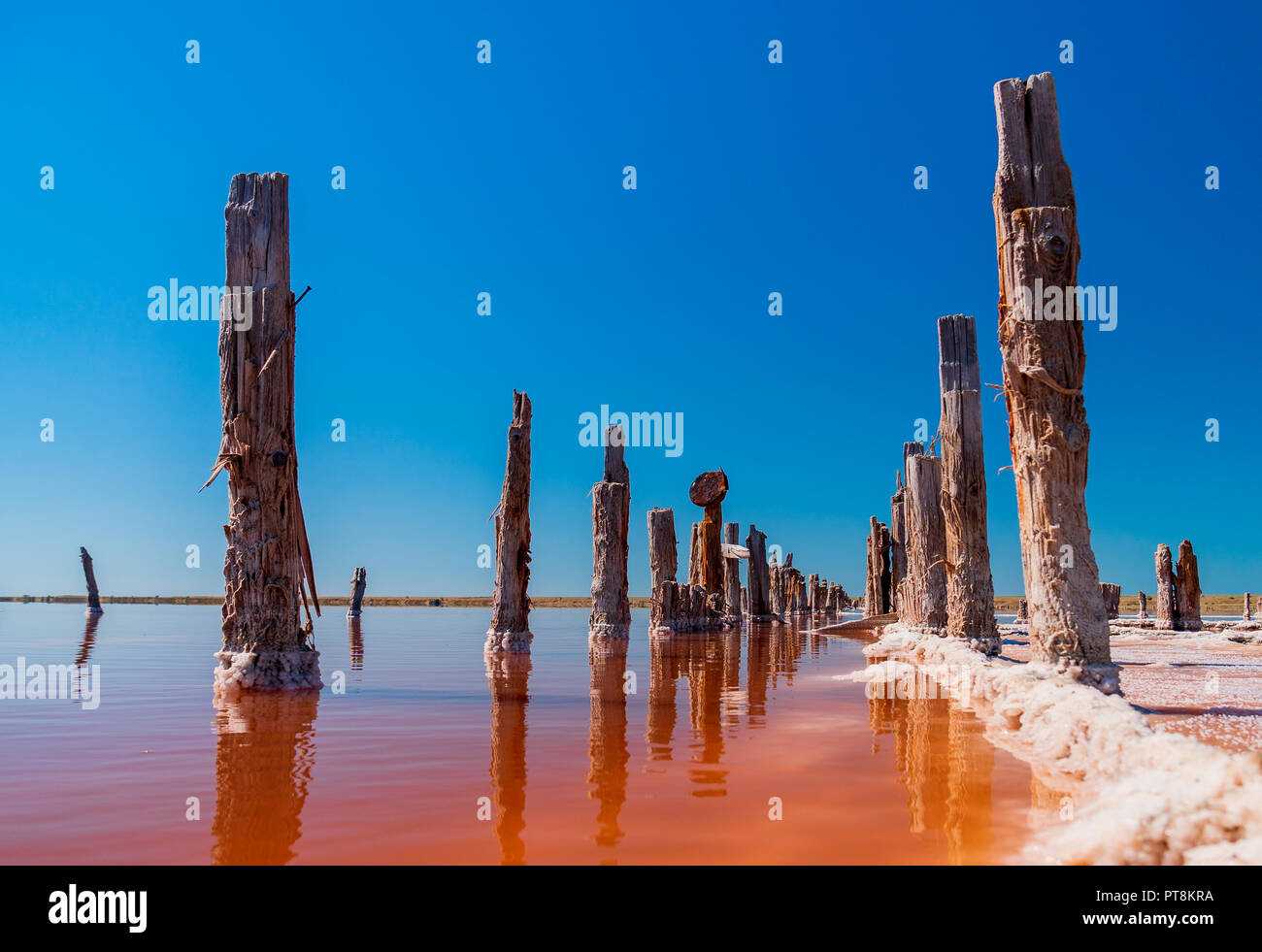Salt sea water evaporation ponds with pink plankton colour Stock Photo ...