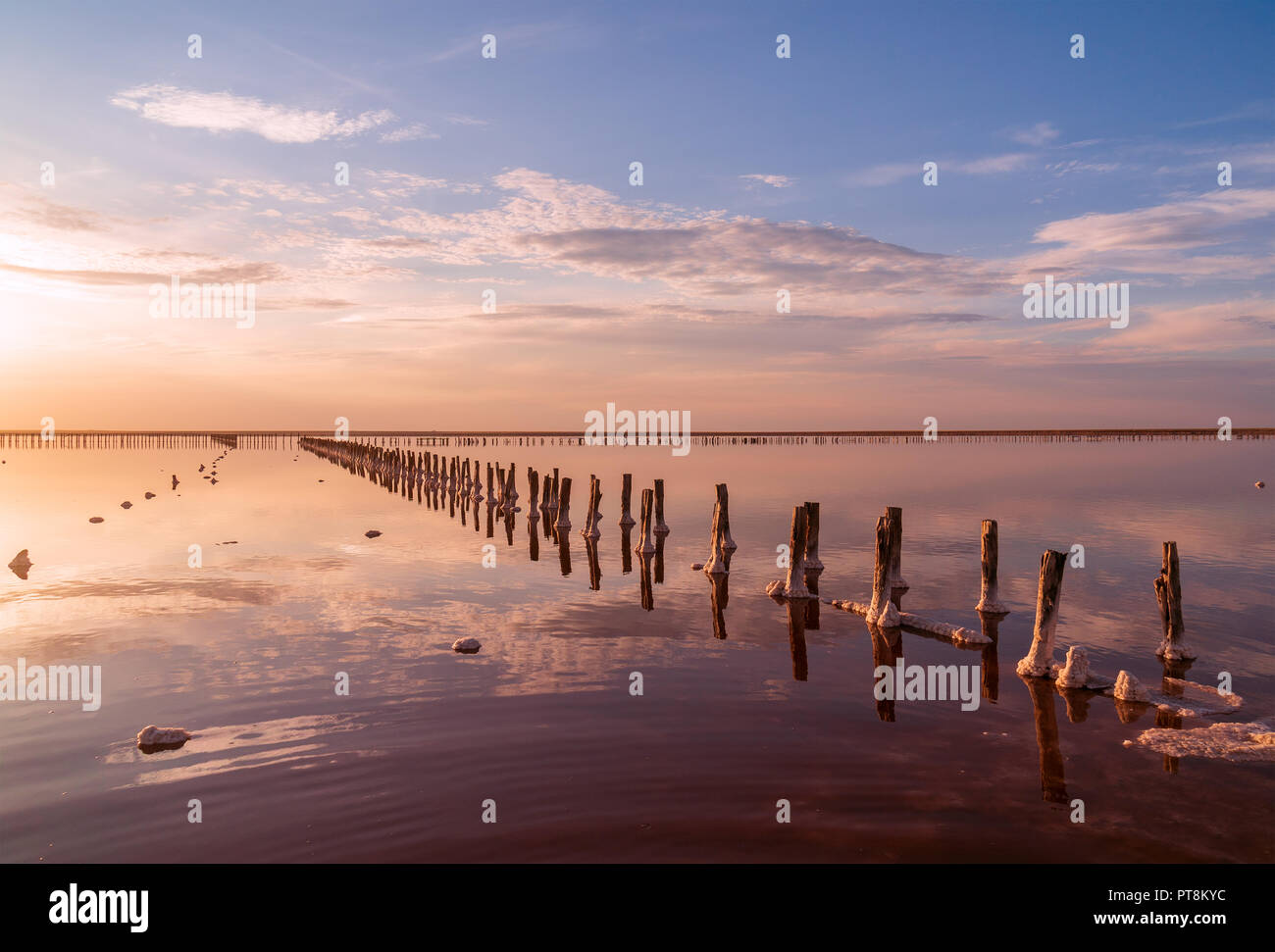 Salt sea water evaporation ponds with pink plankton colour Stock Photo ...