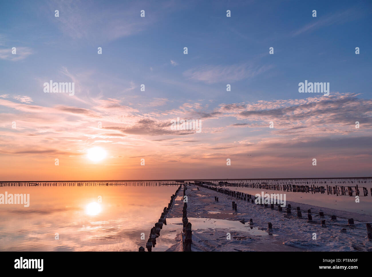 Salt sea water evaporation ponds with pink plankton colour Stock Photo ...