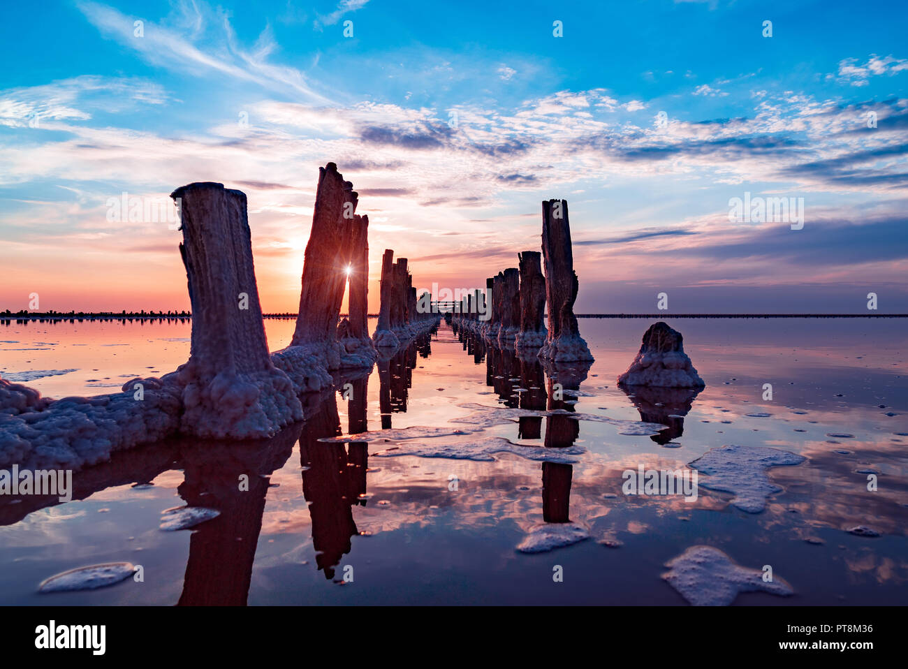 Salt sea water evaporation ponds with pink plankton colour Stock Photo ...