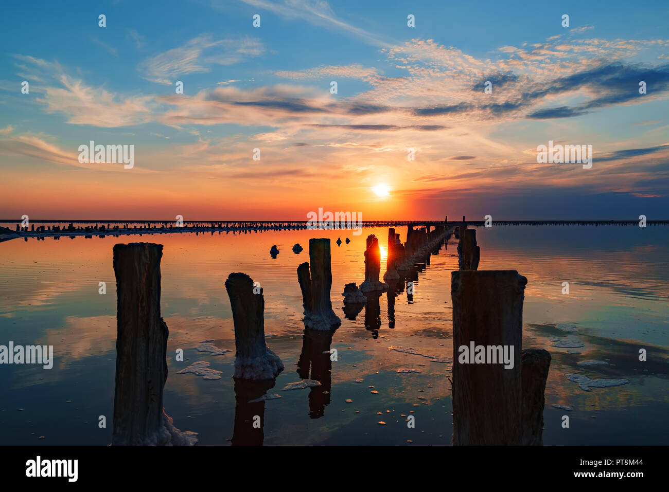 Salt sea water evaporation ponds with pink plankton colour Stock Photo ...