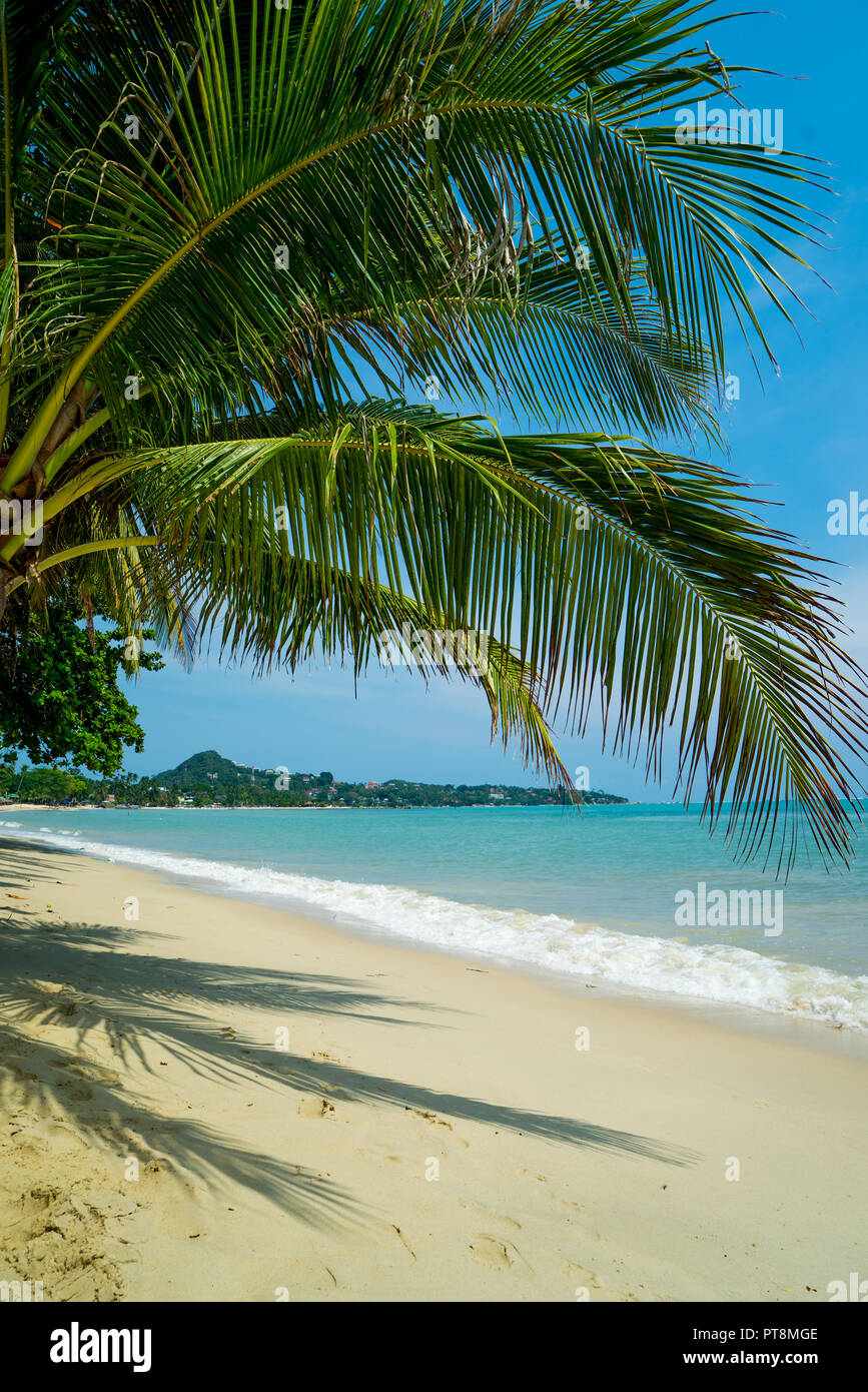 Samui island sunny day beach hi-res stock photography and images - Alamy