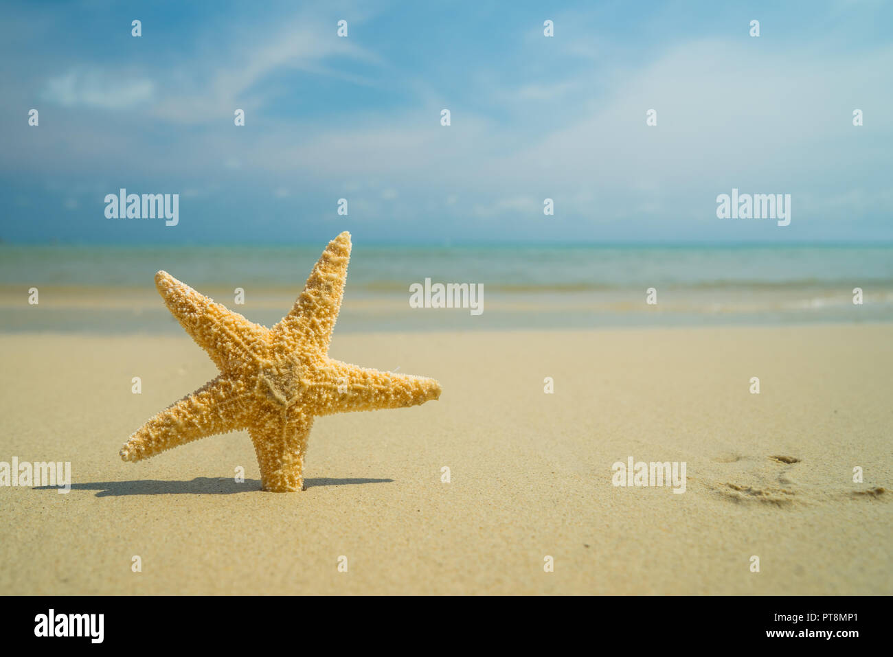A starfish besides sea shore on a beach with white sand and blue water ...