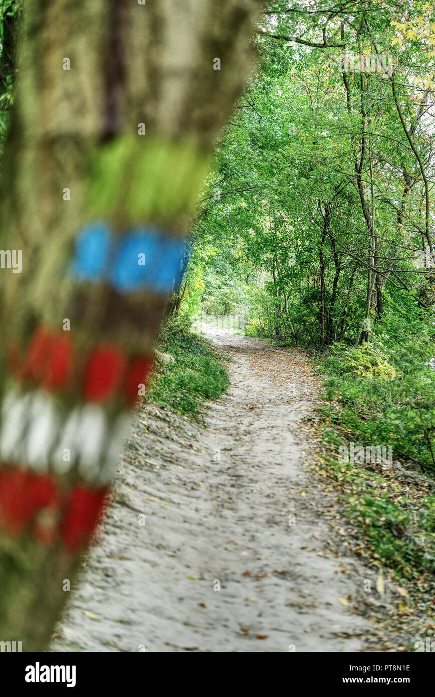 Foot path and signs Stock Photo - Alamy