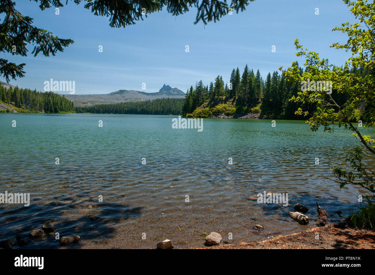 Lake Marion High Resolution Stock Photography and Images - Alamy