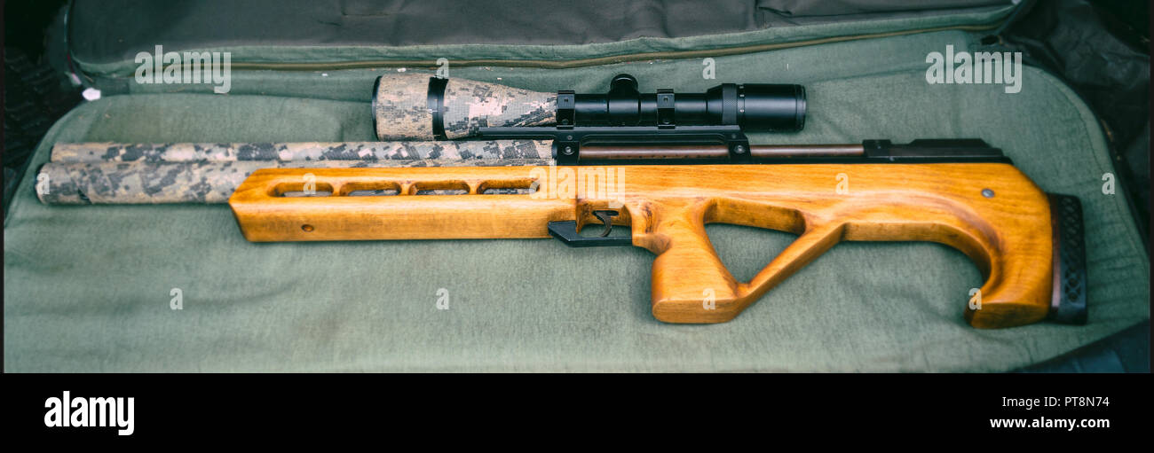 Pneumatic rifle with an optical sight Stock Photo - Alamy