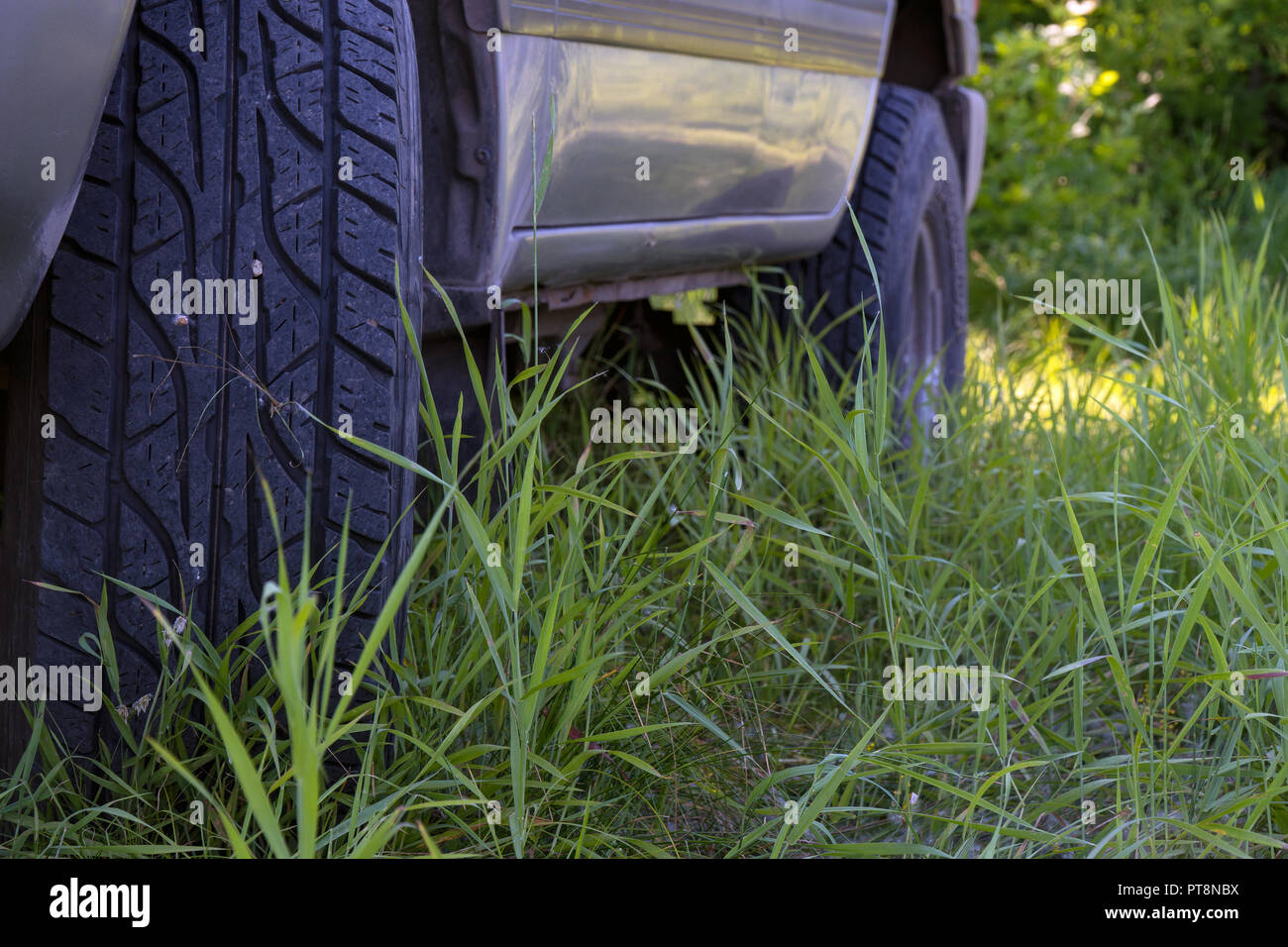 Wheels a car SUV in the forest grass Stock Photo - Alamy