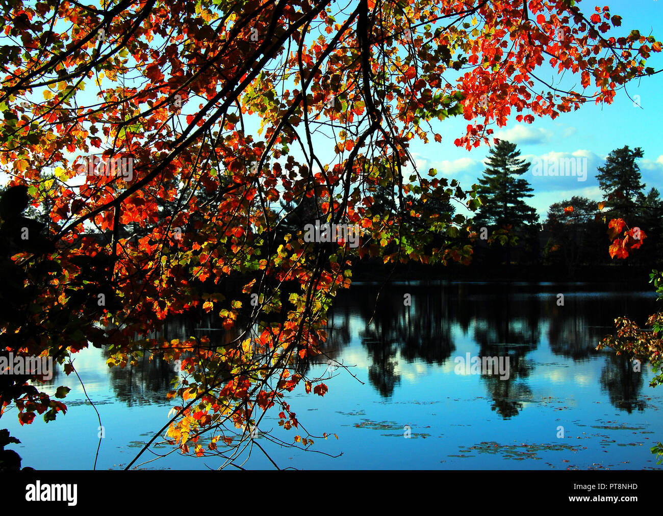 New Hampshire lake reflections with beautiful fall colors Stock Photo ...