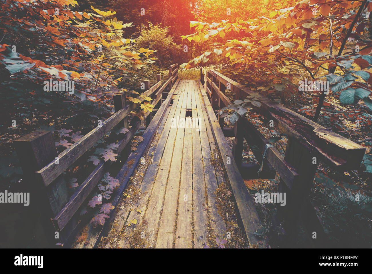 Broken pathway hi-res stock photography and images - Alamy