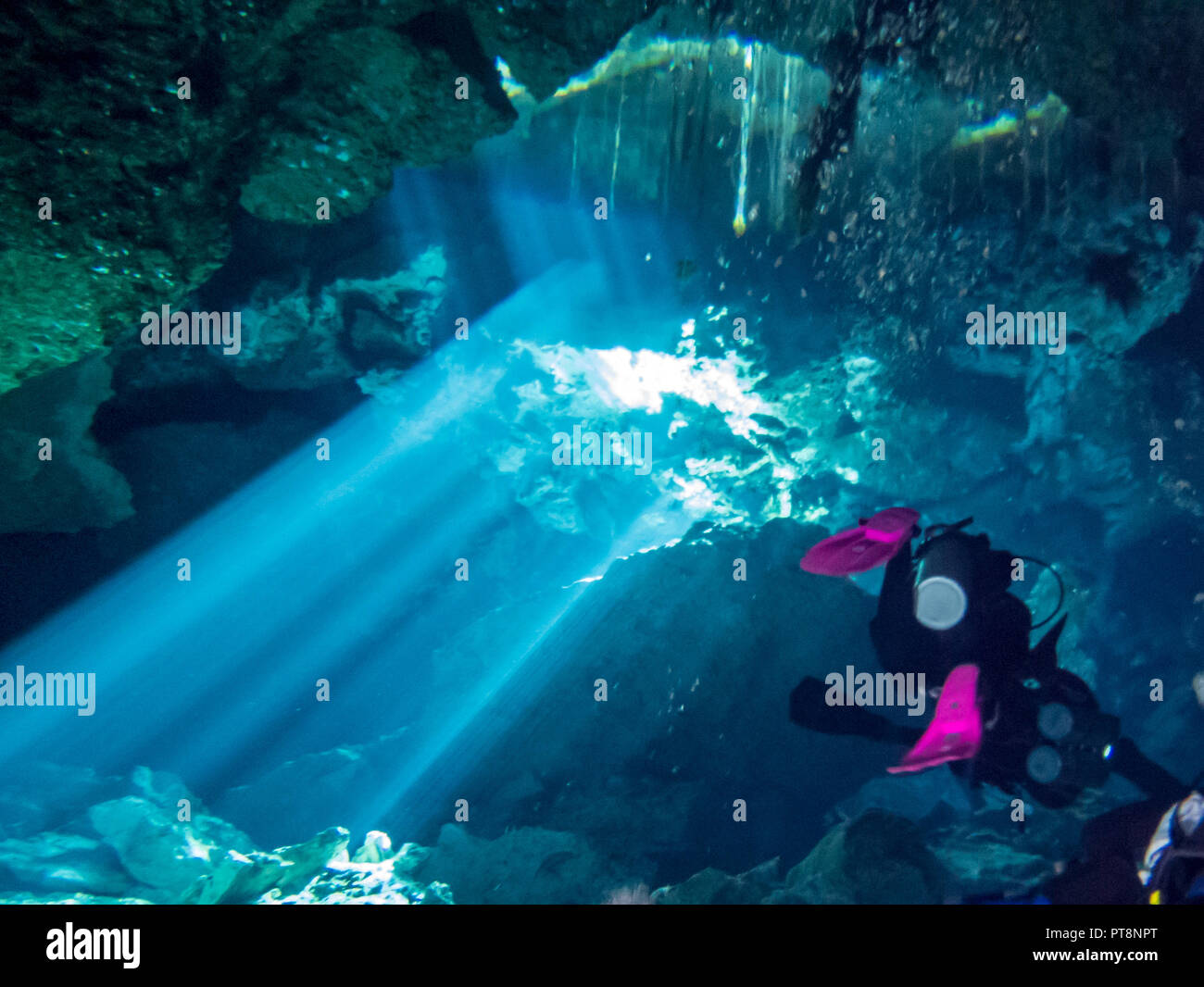 Tulum and cave diver and cenote hi-res stock photography and images - Alamy