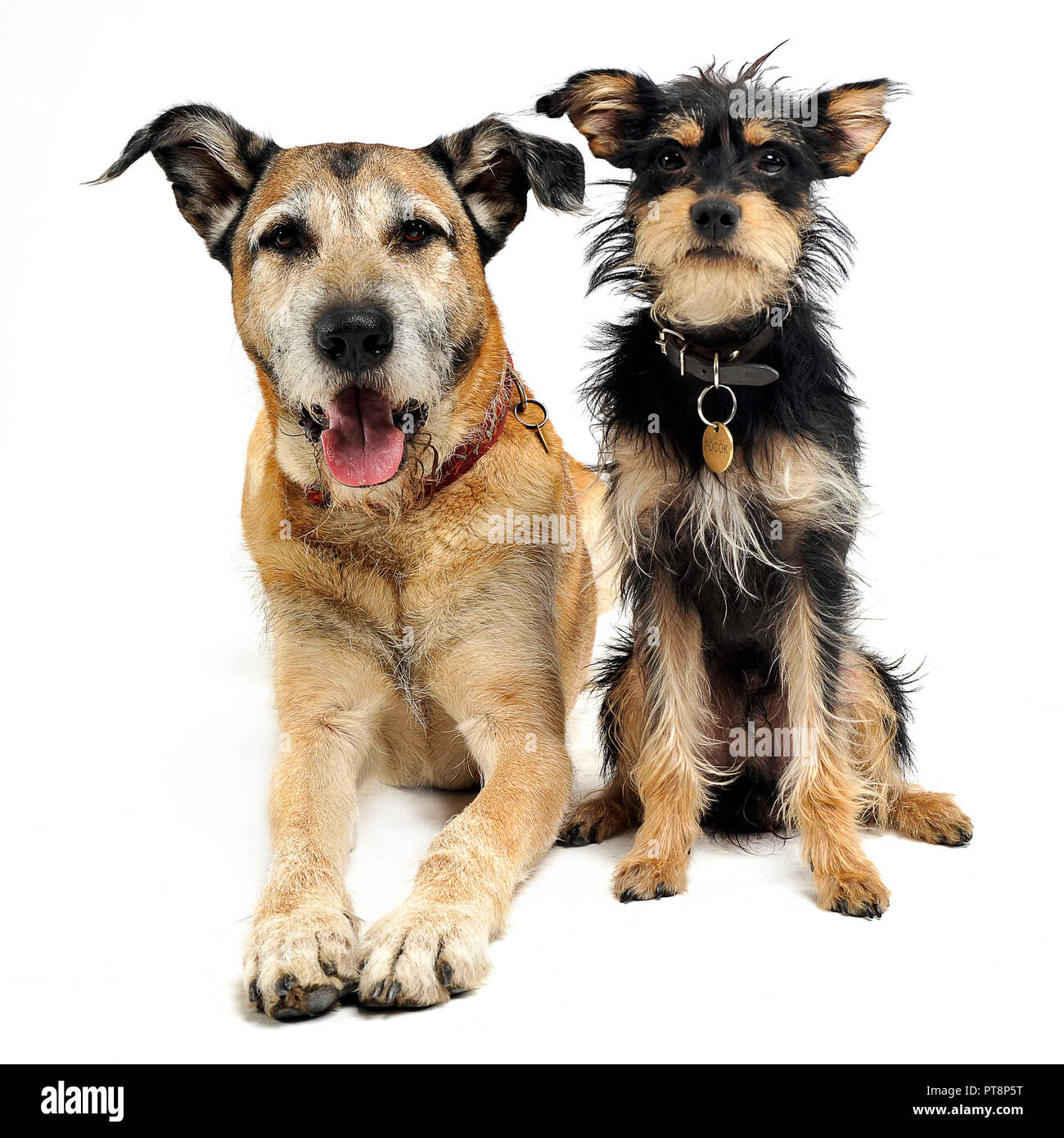 Mouth in a funny Cut Out Stock Images & Pictures - Alamy