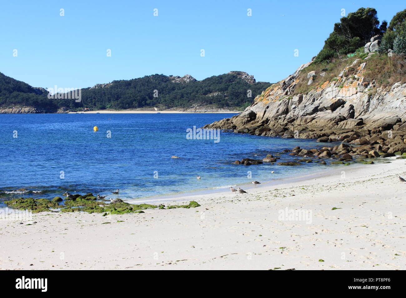 Bolos beach in Cies islands. Galicia, Spain Stock Photo - Alamy