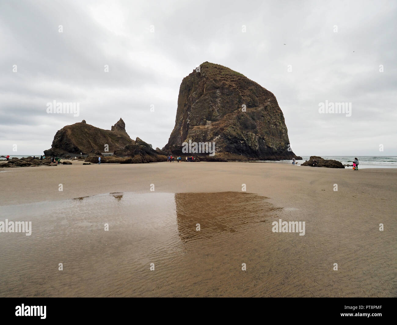 People enjoying the tidepools around Haystack Rock on Cannon Beach ...