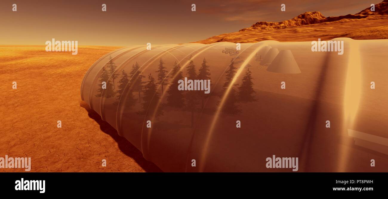 Extremely detailed and realistic high resolution 3d image of a colony ...