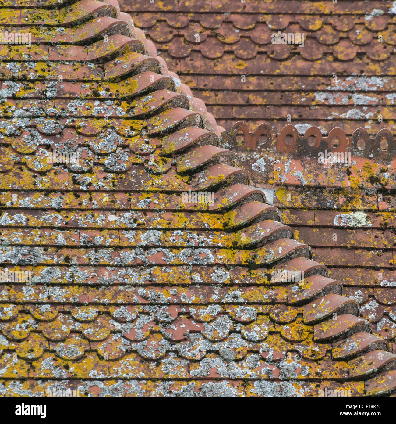 Abstract roof tile pattern Stock Photo - Alamy