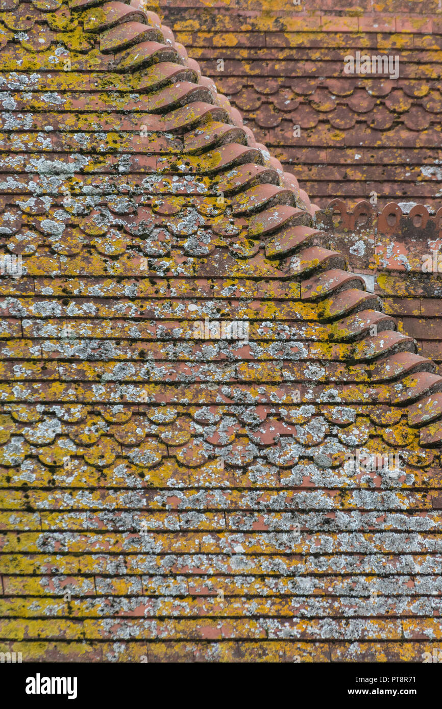 Tile pattern hi-res stock photography and images - Alamy