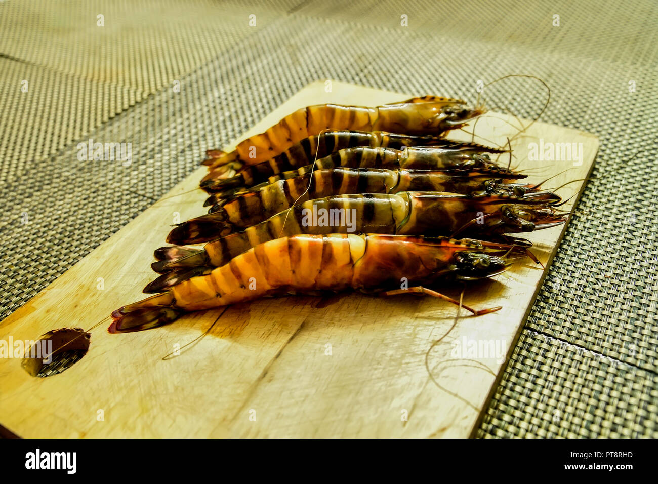 Large Penaeus monodon, or the giant tiger prawn or Asian tiger shrimp ...