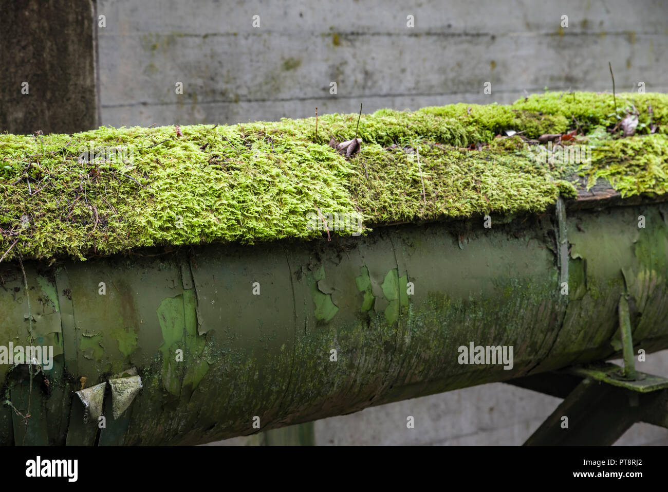 Moss covered bridge hi-res stock photography and images - Alamy