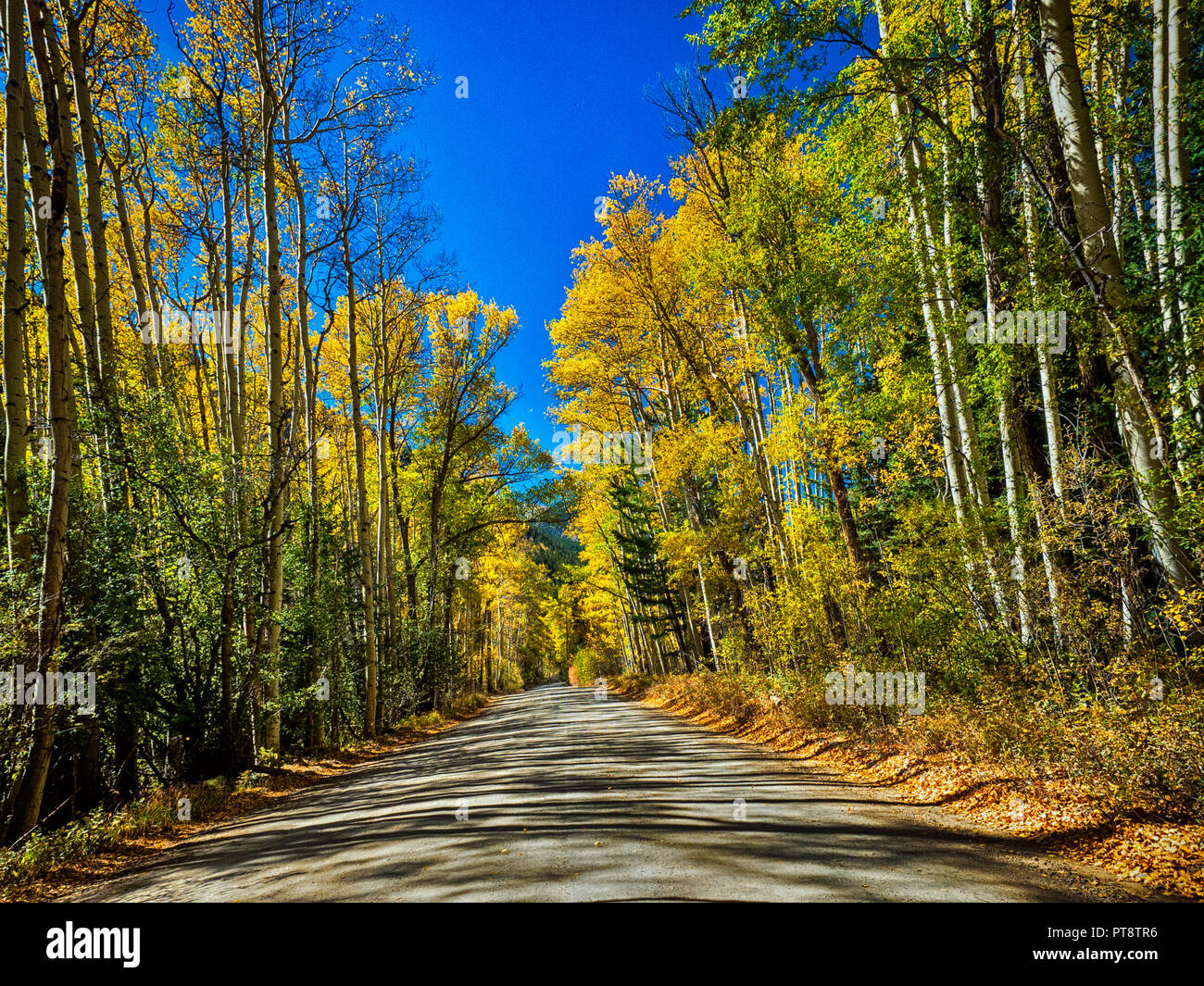 Country Road in Autumn in Rural Colorado Stock Photo - Alamy