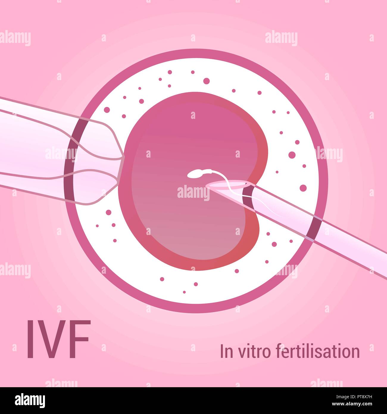 Ivf science Stock Vector Images - Alamy