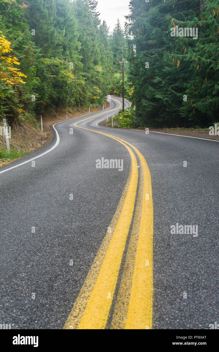 Winding road through a forest hi-res stock photography and images - Alamy