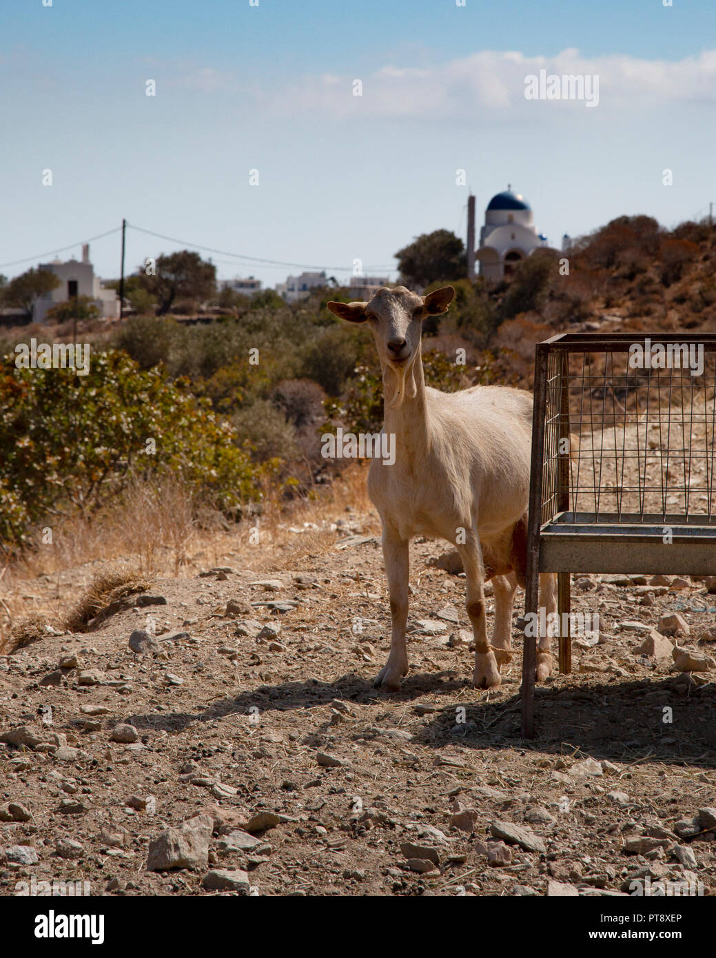 Goat Island Greece High Resolution Stock Photography and Images - Alamy
