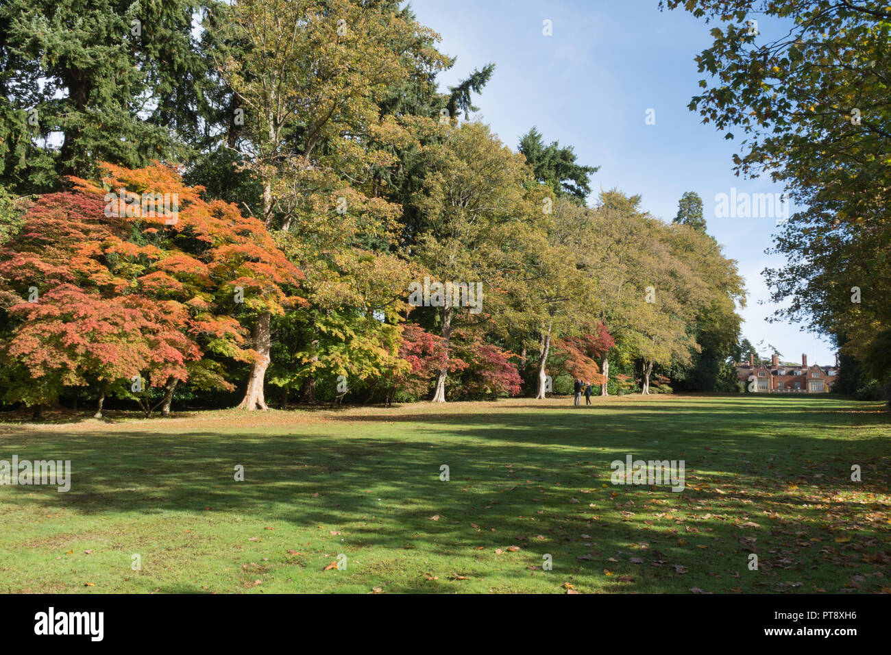 Autumn colours at Tylney Hall and gardens, a grand Victorian mansion ...
