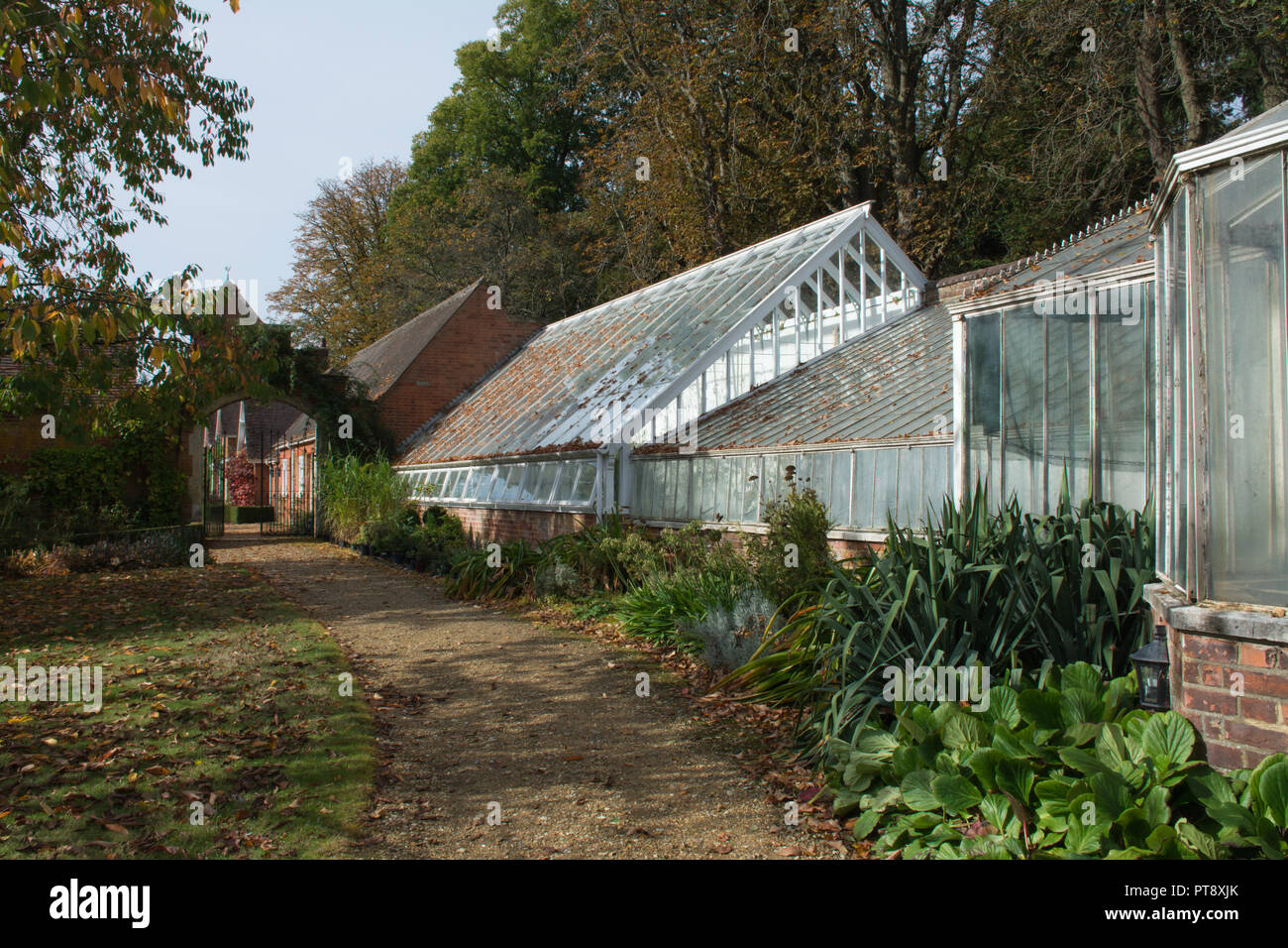 Historic glasshouses at Tylney Hall and gardens, a grand Victorian ...