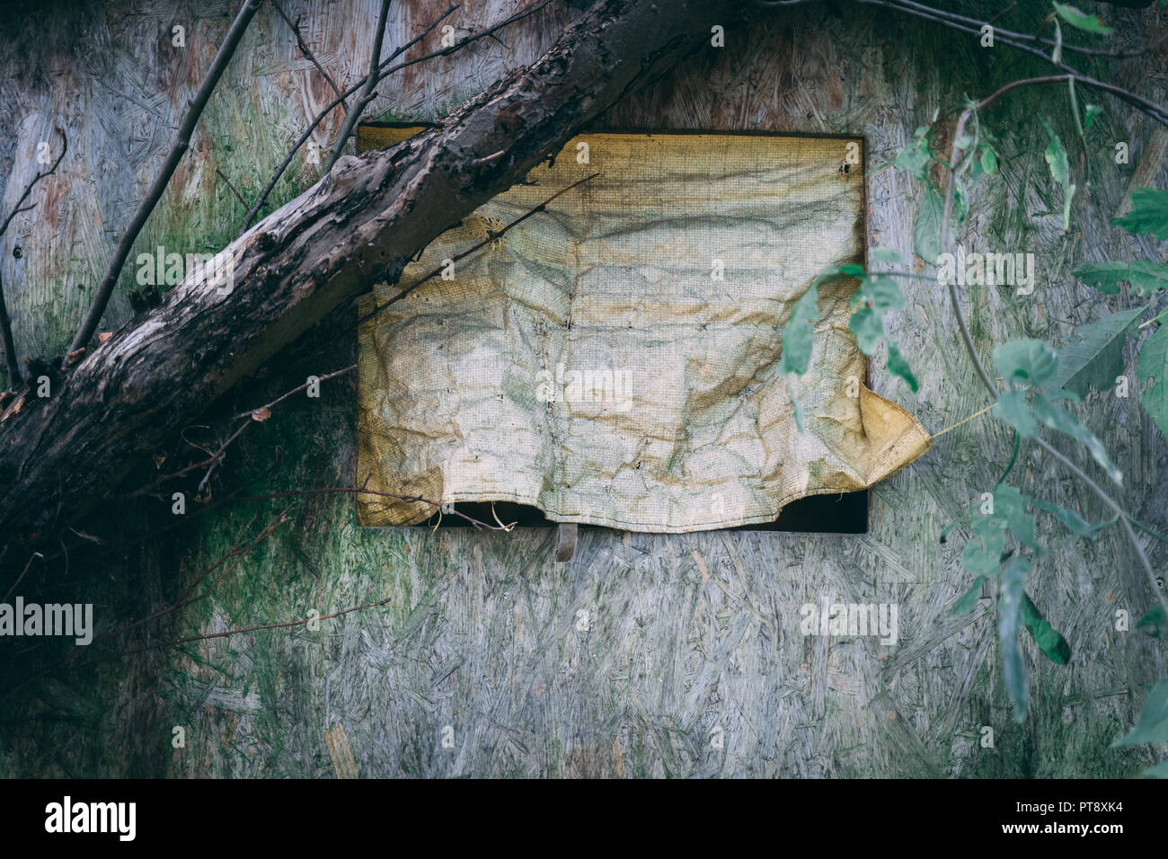 Old Treehouse in forest Stock Photo - Alamy