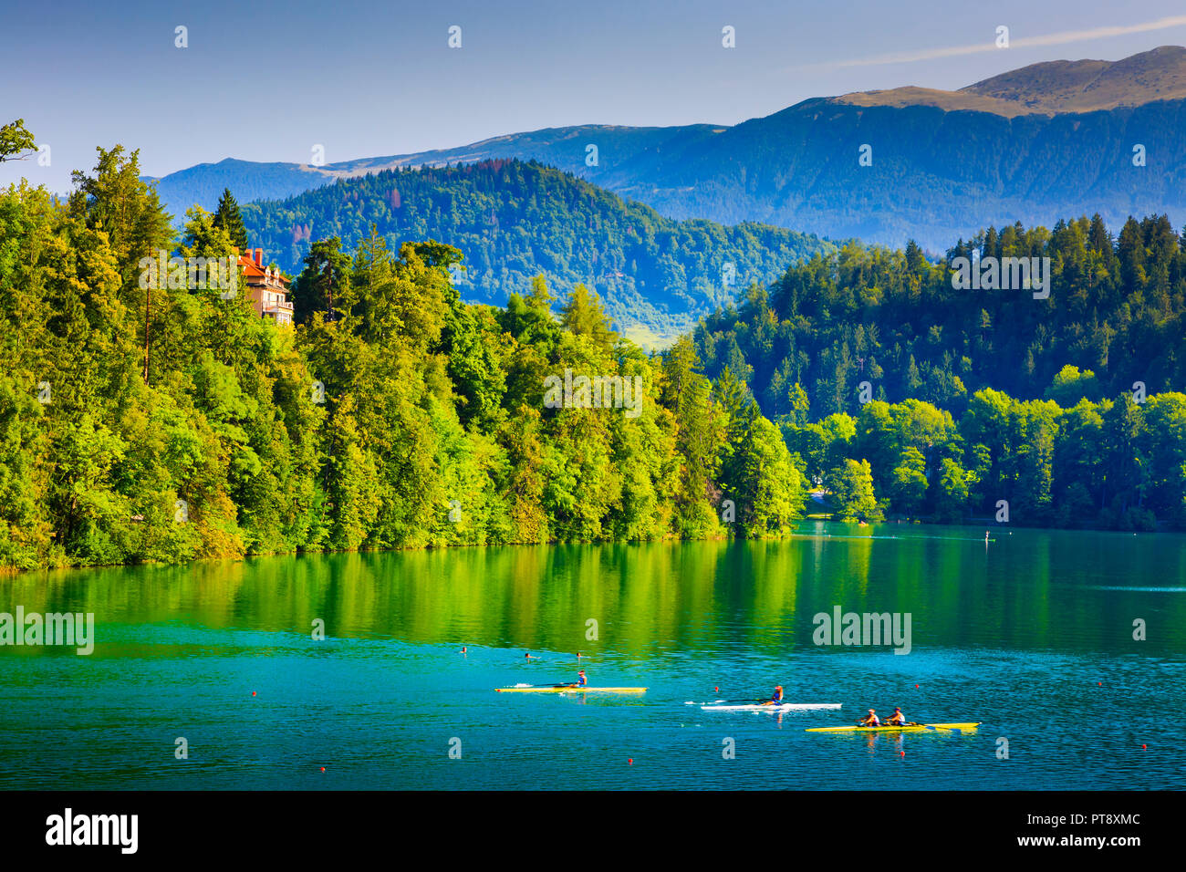 Forest with a lake hi-res stock photography and images - Alamy
