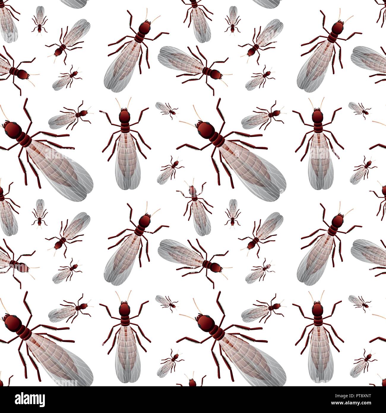 Seamless ant bug wallpaper illustration Stock Vector Image & Art - Alamy