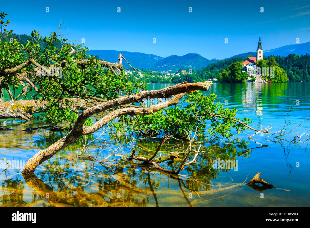 Church in a lake landscape Stock Photo - Alamy
