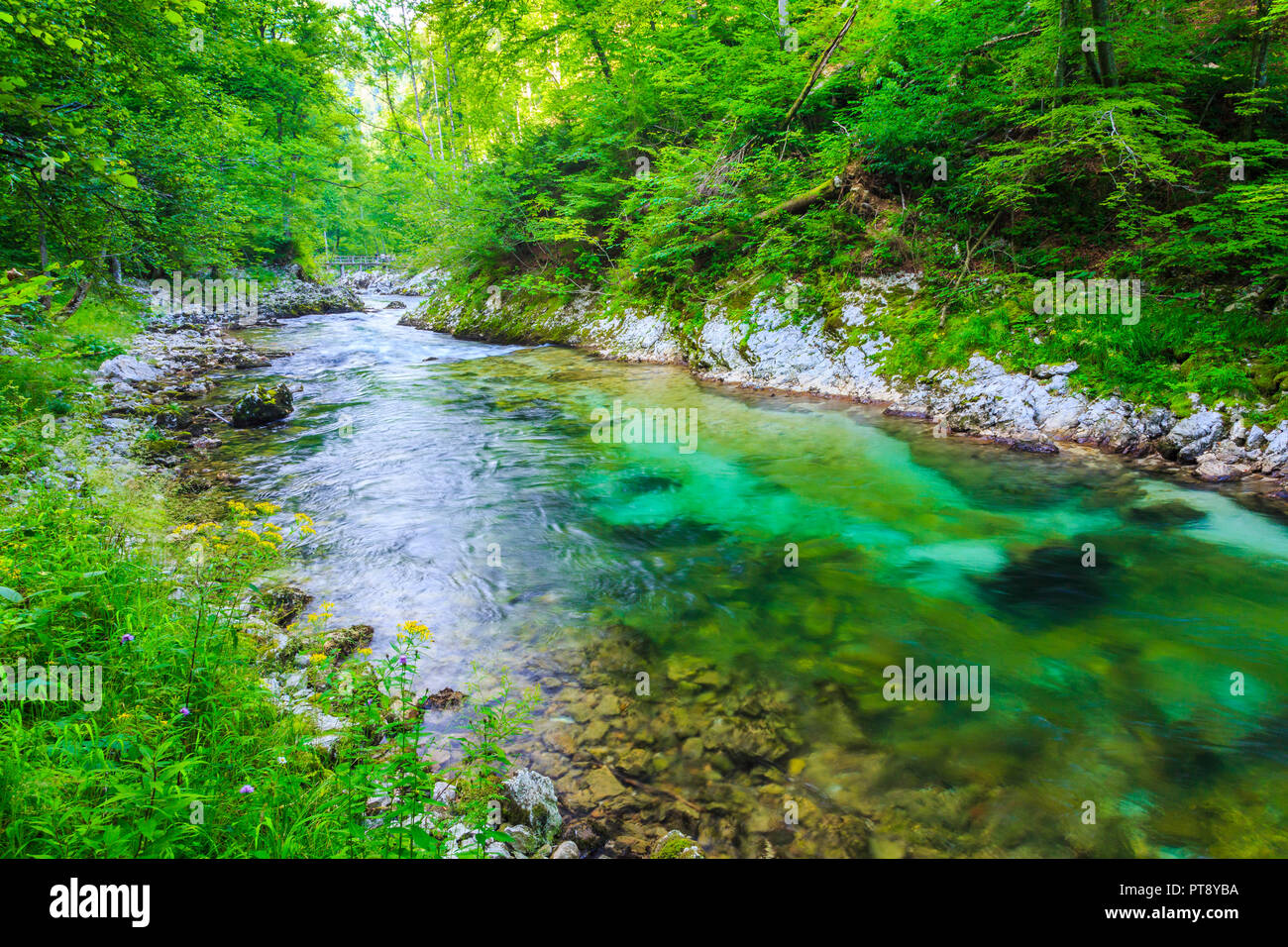 River in a gorge Stock Photo - Alamy