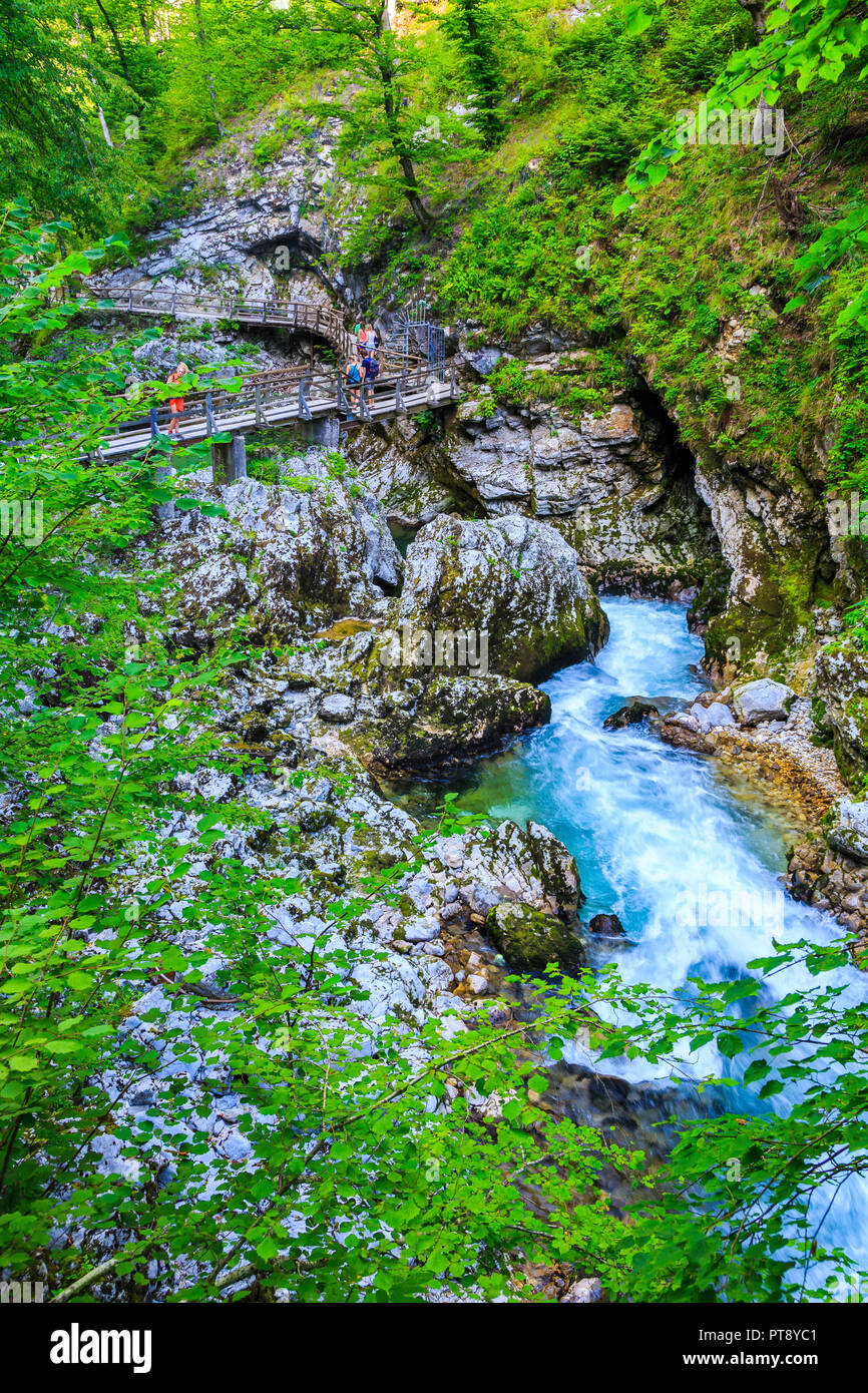Gorge and people in a footbridge Stock Photo - Alamy