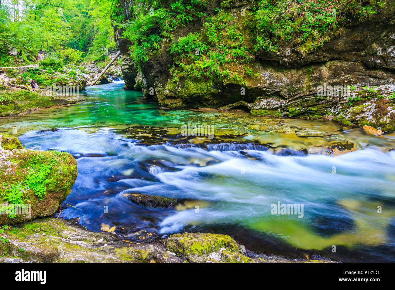 Hydrosphere hi-res stock photography and images - Alamy