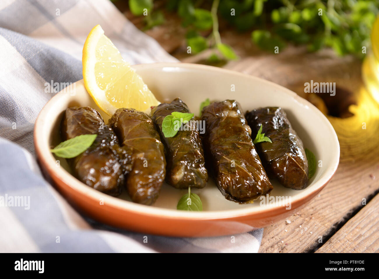 Traditional greek meal - Dolmadakia Stock Photo - Alamy
