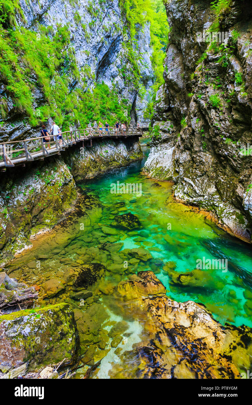 Gorge and people in a footbridge Stock Photo - Alamy