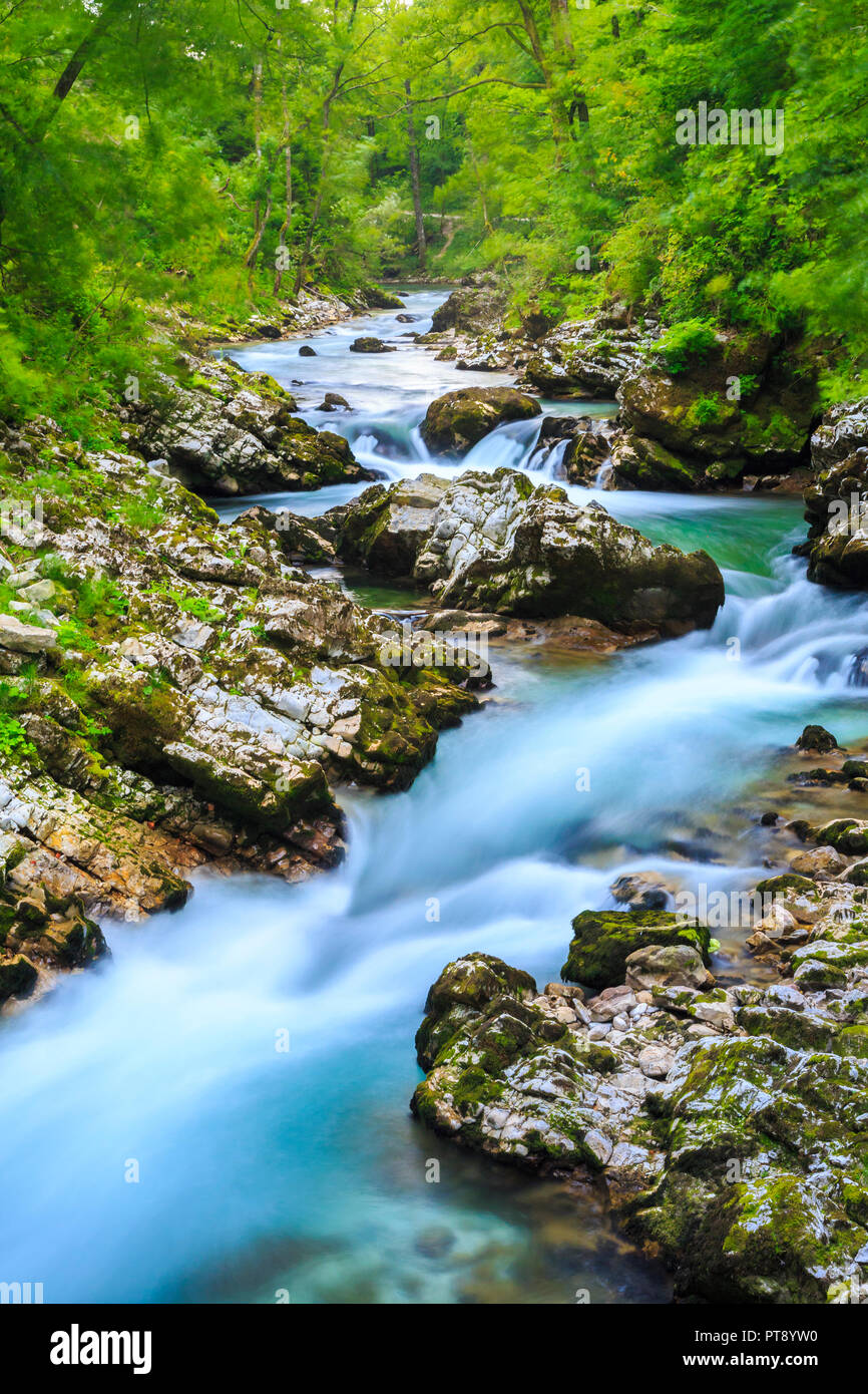 River in a gorge Stock Photo - Alamy
