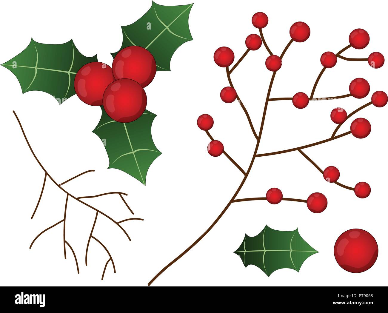 Red Berry with Leaf and Branch Christmas isolated on White Background ...